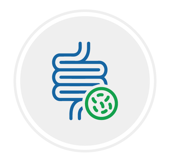 Gut Health/Probiotics — Biomedic Labs