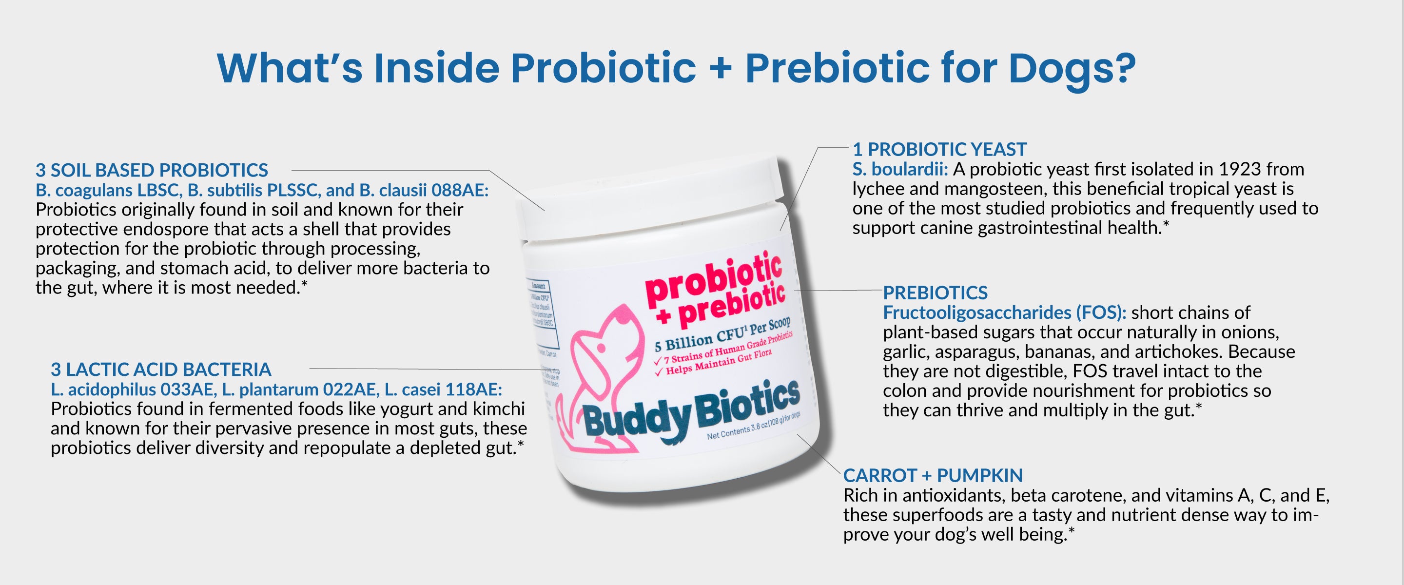 Probiotic + Prebiotic for Dogs — Biomedic Labs